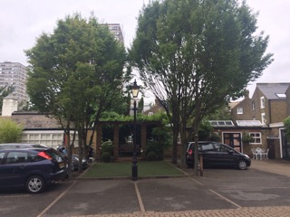 Crown Lift Tree Surgery on Lime Trees | Take A Bough London