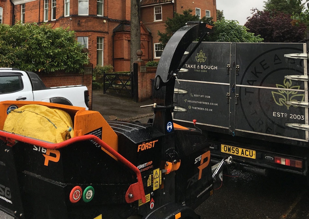 Commercial Tree Surgery Services for South West London