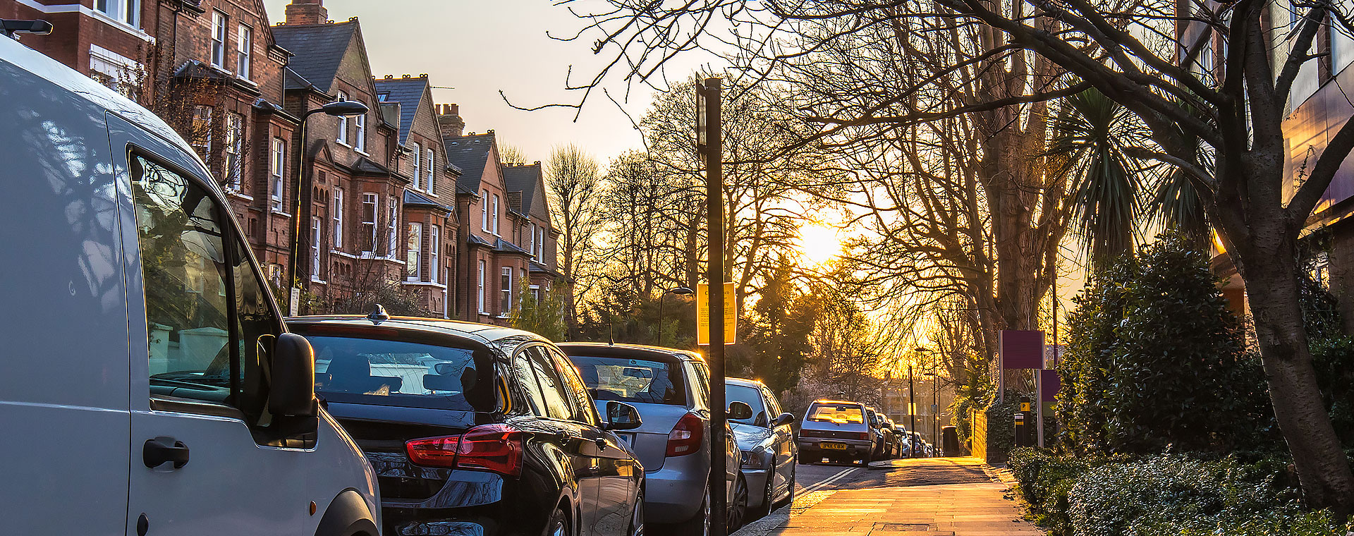 New Malden Tree Surgeons | Get a Free Tree Service Quote